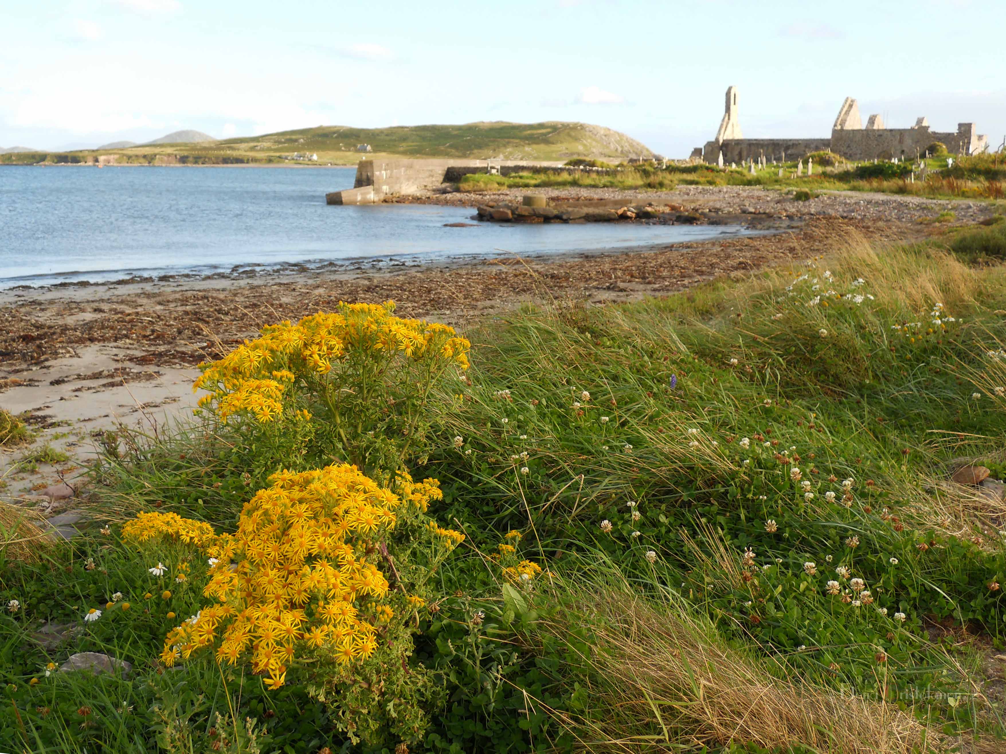Cill Rialaig Arts Centre