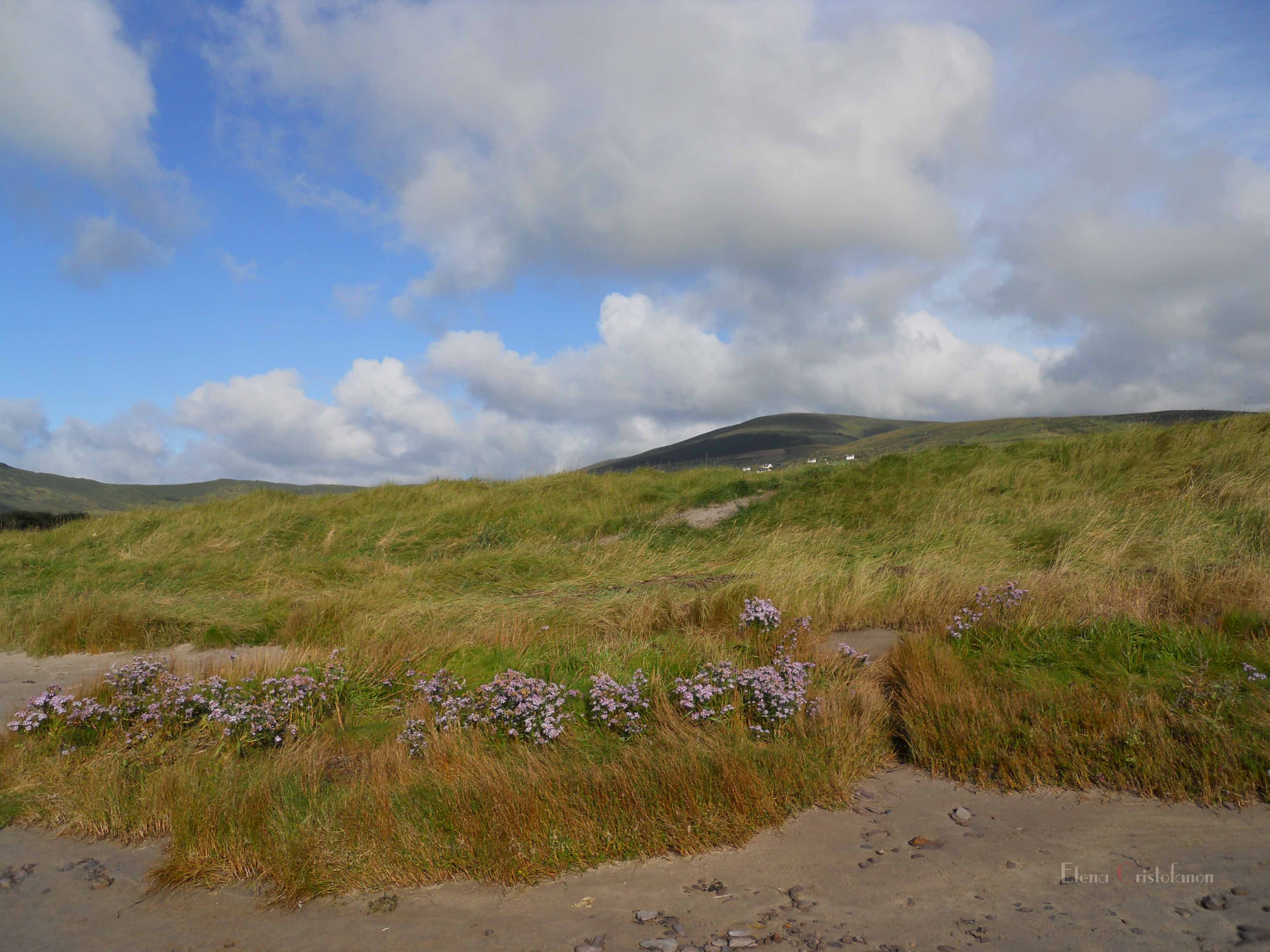 About – Cill Rialaig Arts Centre